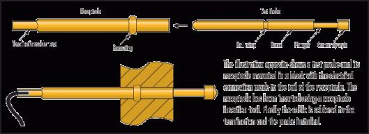 What are Test Probes? Coda Systems
